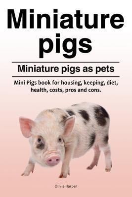 Miniature pigs. Miniature pigs as pets… - genialokal.de