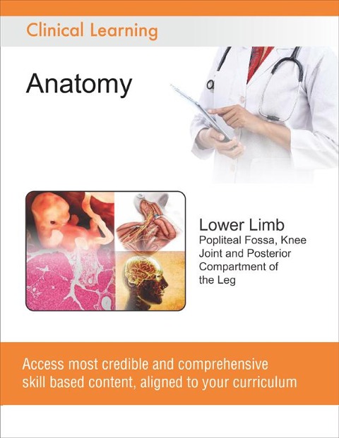 Lower Limb - Popliteal Fossa, Knee Joint ... - genialokal.de