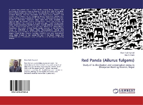 Red Panda (Ailurus fulgens) - genialokal.de